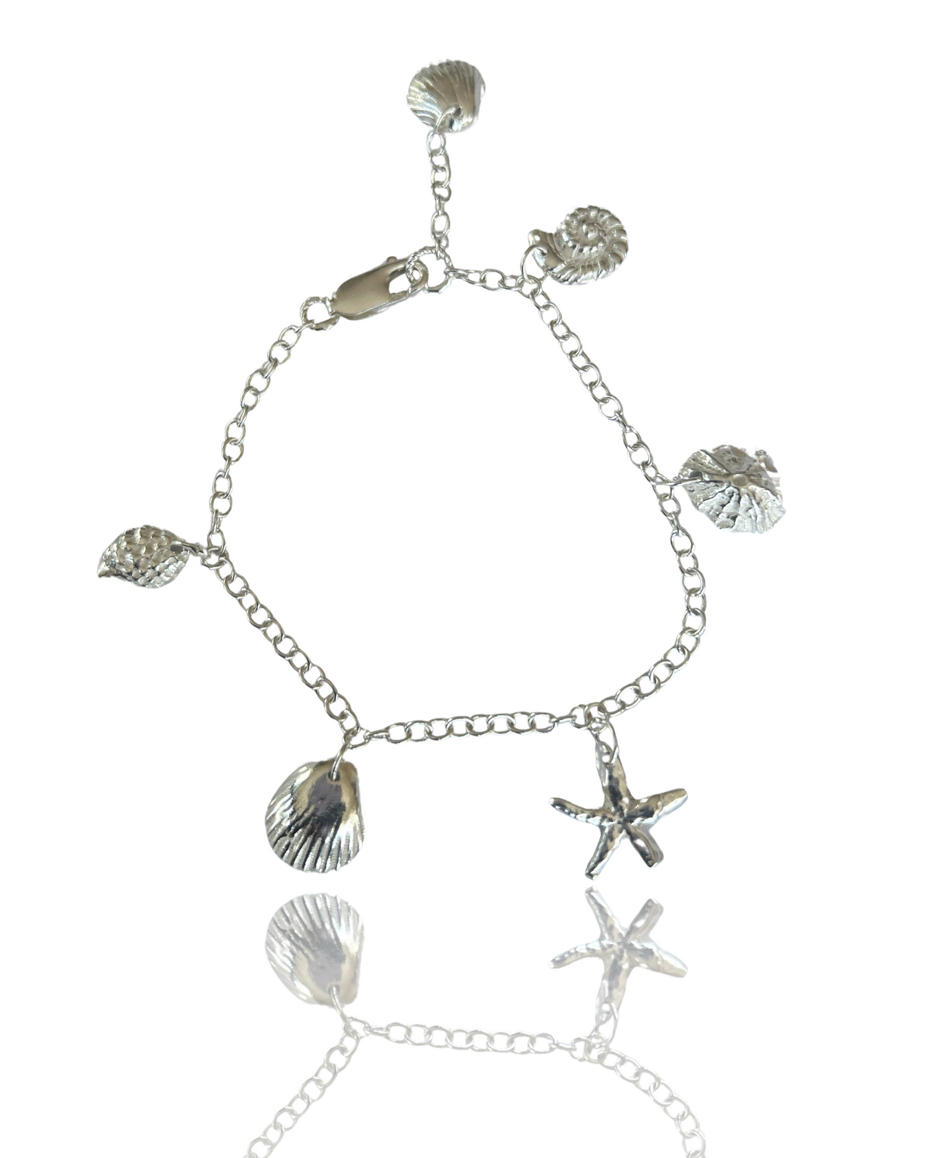 Silver Sea Shell Charm Bracelet – Silver Lines Jewellery